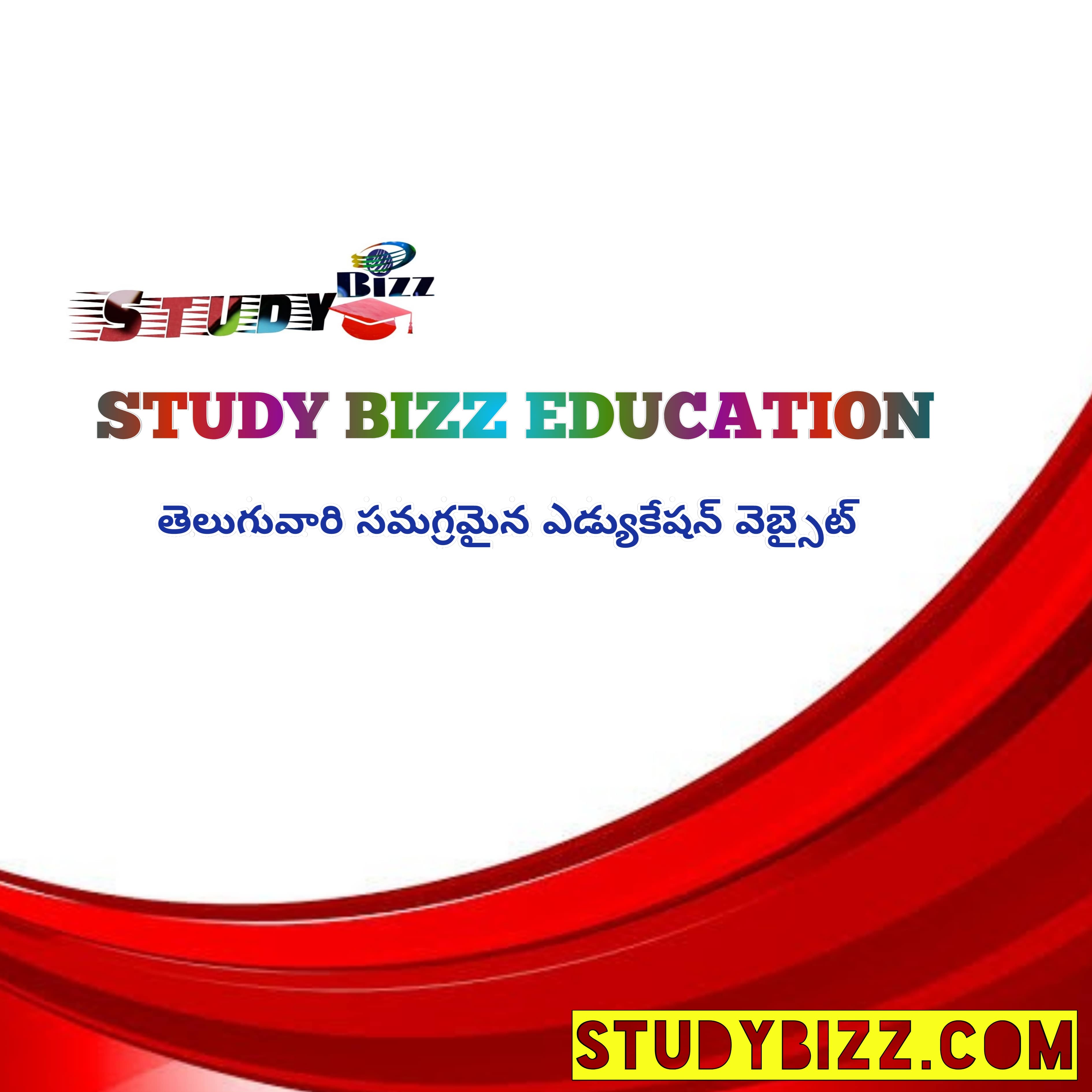 StudyBizz